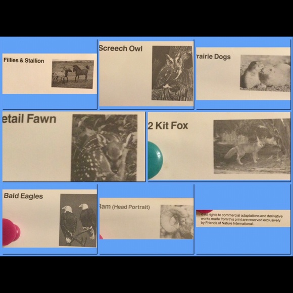 Wall Decor | Set Of 7 Wildlife Posters | Poshmark